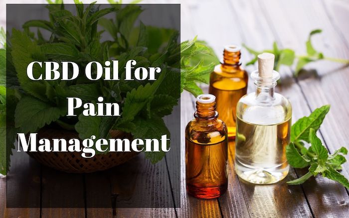 CBD Provide the Natural Pain Relief – MapleLotus CBD Store