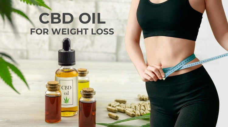 CBD for Weight Loss: The Definitive Guide – MapleLotus CBD Store